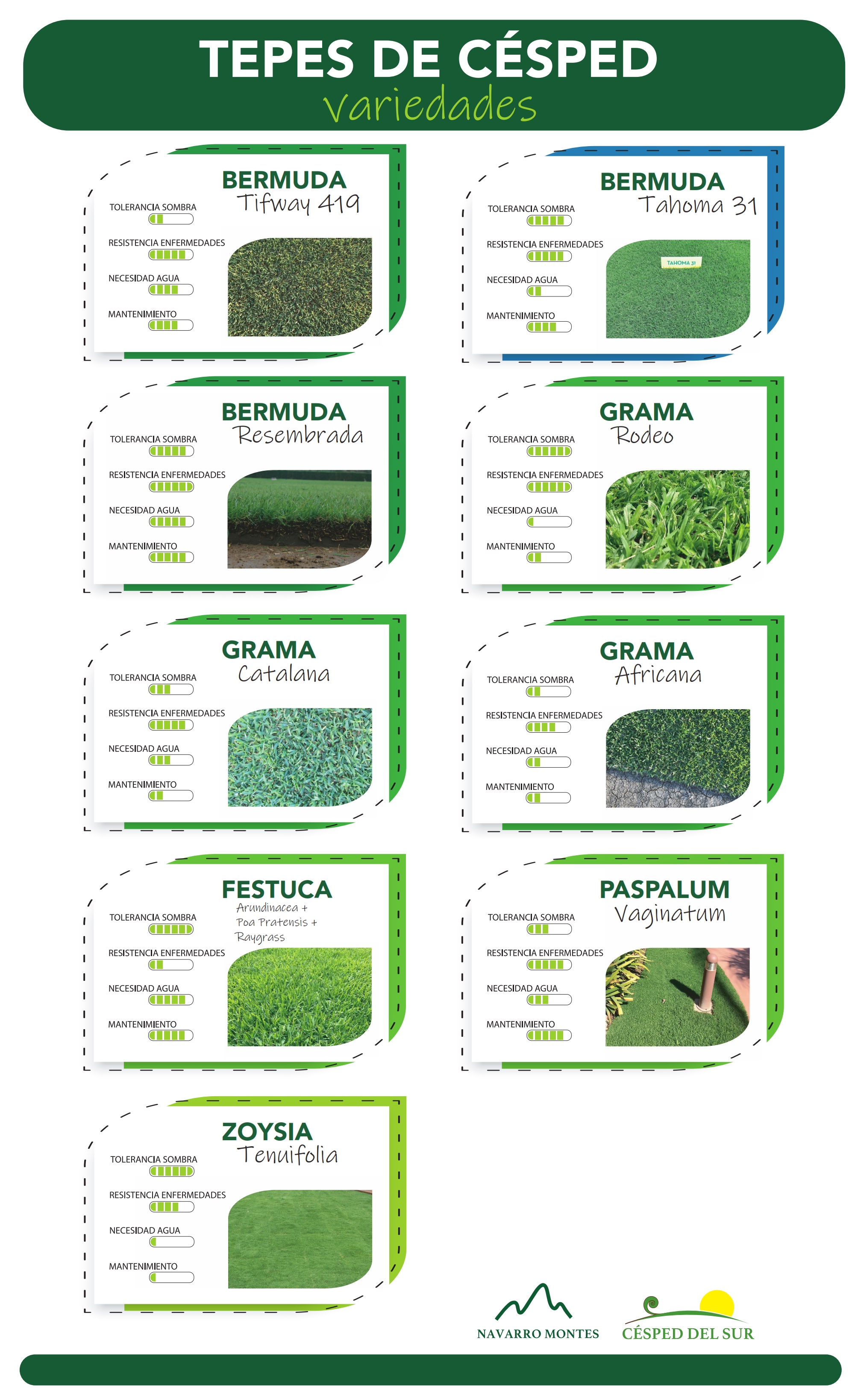 ELEGIR EL MEJOR CÉSPED NATURAL - Navarro Montes Agro